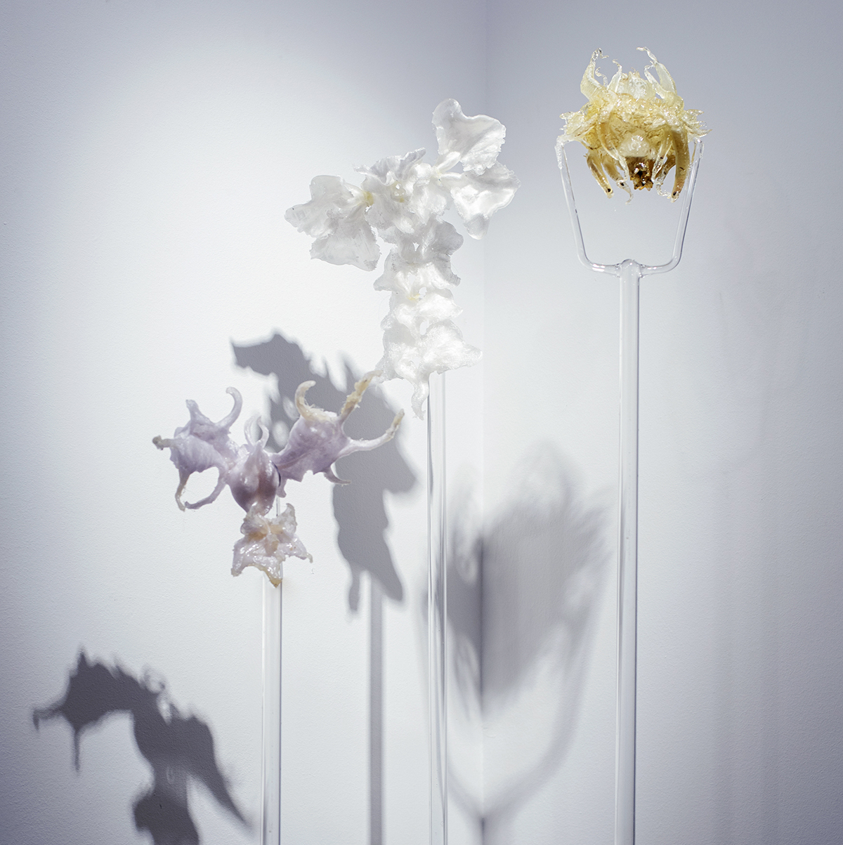 Emberen túli ökológiák | Országút